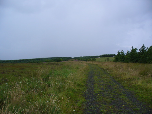 Limerigg Wood - Woodland Trust