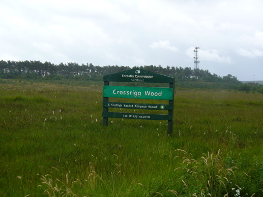 Limerigg Wood - Woodland Trust