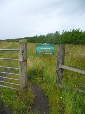 Limerigg Wood - Woodland Trust