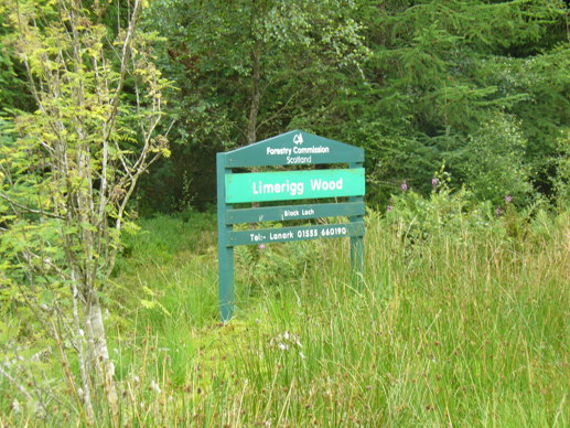 Limerigg Wood - Woodland Trust
