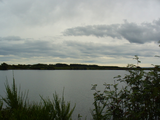 Limerigg Wood - Woodland Trust