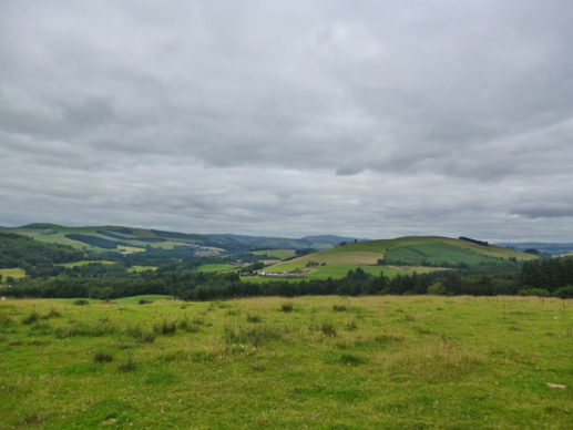 Clauchrie Plantation - Woodland Trust
