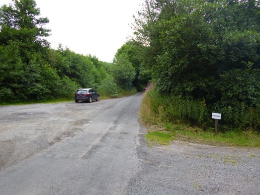 Clauchrie Plantation - Woodland Trust