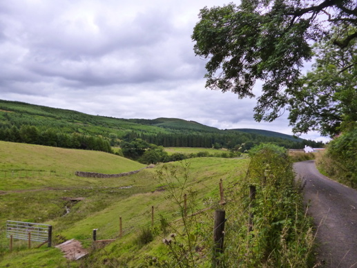 Clauchrie Plantation - Woodland Trust