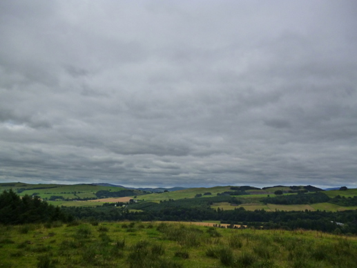 Clauchrie Plantation - Woodland Trust