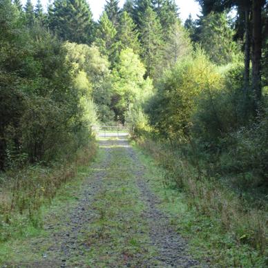 Craigielands Wood - Woodland Trust