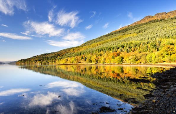 Ardgartan - Woodland Trust