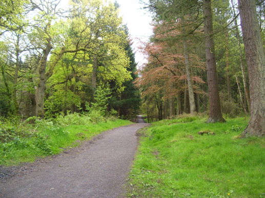 Callendar Wood - Woodland Trust