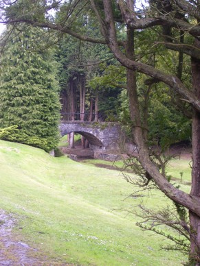 Callendar Wood - Woodland Trust