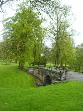 Callendar Wood - Woodland Trust
