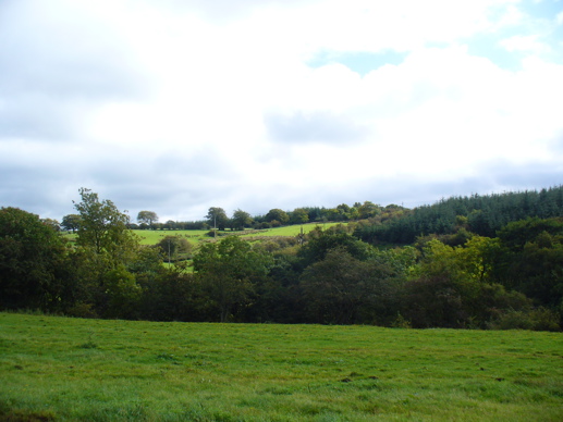 Chapelhall East - Woodland Trust