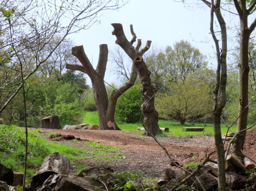 Heaton Woods - Woodland Trust