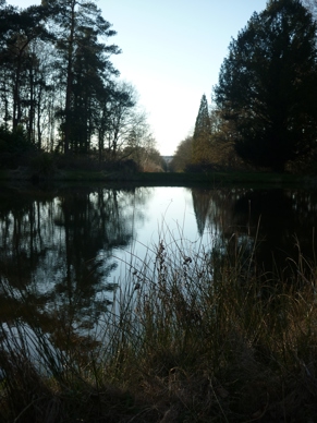 Brandon Country Park - Woodland Trust