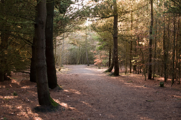 Rising Sun Country Park and Farm - Woodland Trust