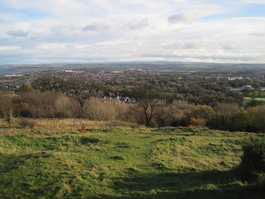 Meadowfield Park - Woodland Trust