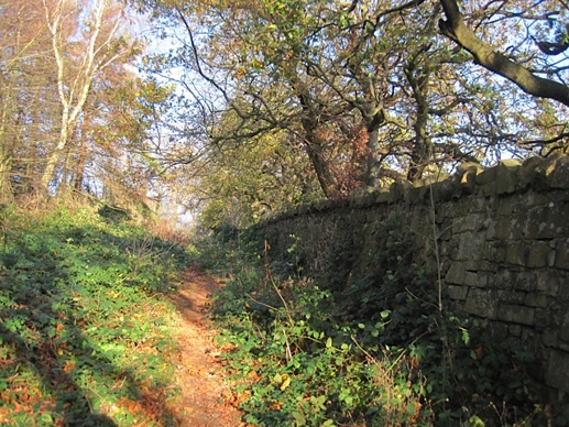 Meadowfield Park - Woodland Trust