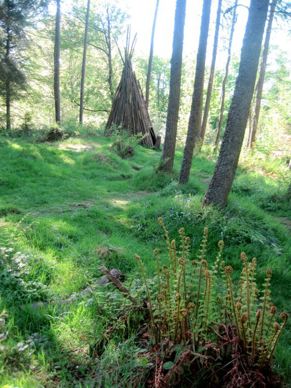 Finlaystone Country Estate - Woodland Trust