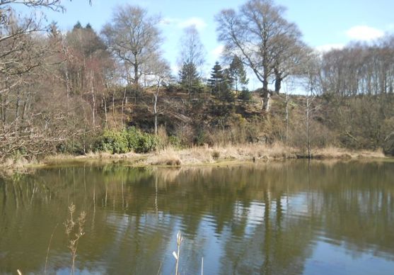 Finlaystone Country Estate - Woodland Trust