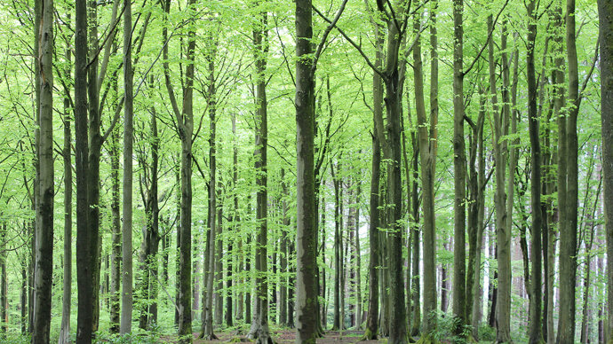 Pollok Country Park - Woodland Trust