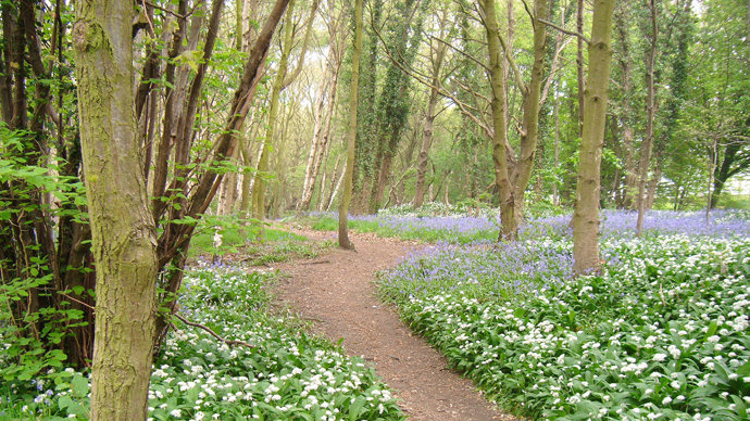 Dearne Valley Park - Woodland Trust