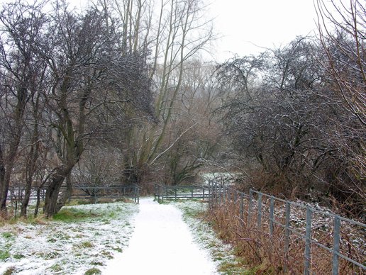Dearne Valley Park - Woodland Trust