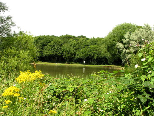 Dearne Valley Park - Woodland Trust