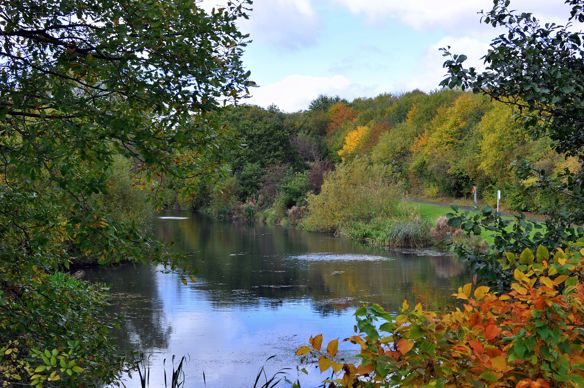 Dearne Valley Park - Woodland Trust