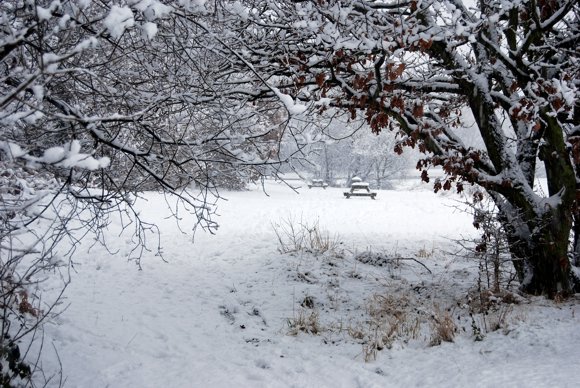 Dearne Valley Park - Woodland Trust