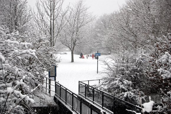 Dearne Valley Park - Woodland Trust