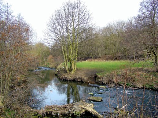 Dearne Valley Park - Woodland Trust