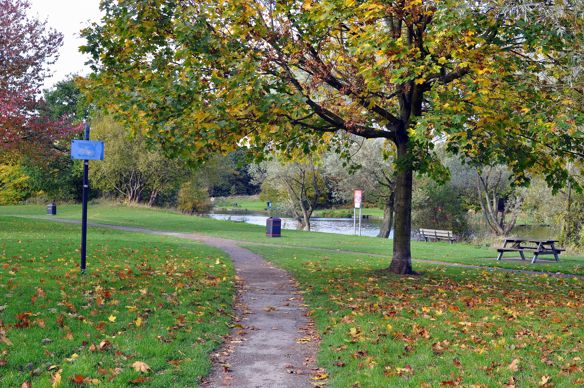 Dearne Valley Park - Woodland Trust