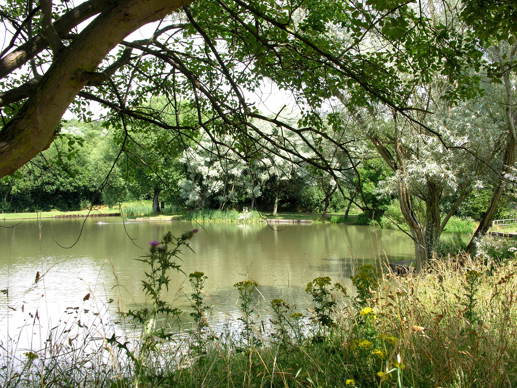 Dearne Valley Park - Woodland Trust