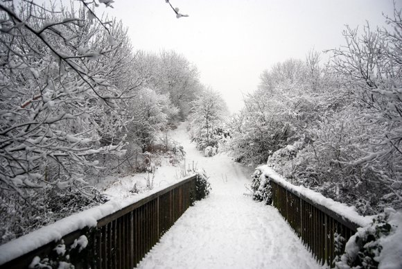 Dearne Valley Park - Woodland Trust