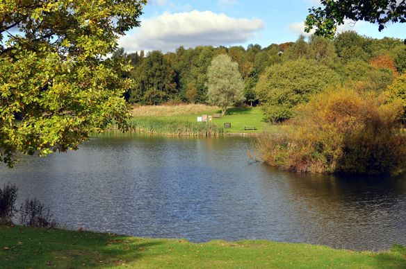 Dearne Valley Park - Woodland Trust