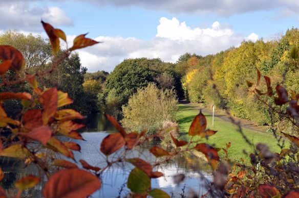 Dearne Valley Park - Woodland Trust