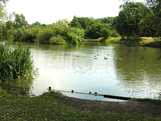 Dearne Valley Park - Woodland Trust