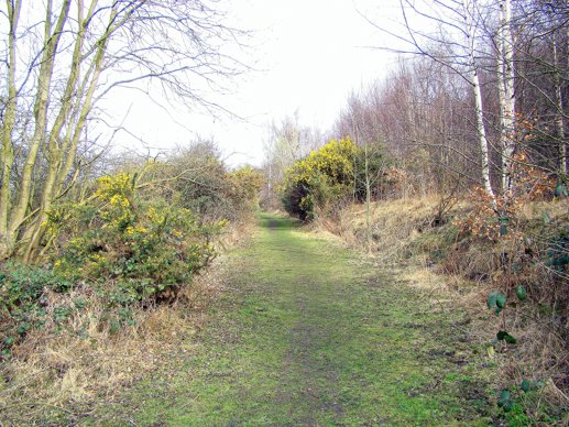 Dearne Valley Park - Woodland Trust