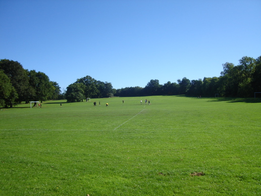Rectory Park - Woodland Trust