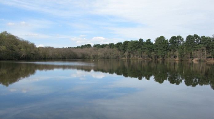 Sutton Park - Woodland Trust