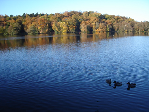 Sutton Park - Woodland Trust