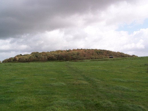 Billinge Wood - Woodland Trust