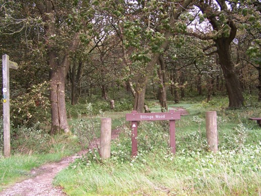 Billinge Wood - Woodland Trust