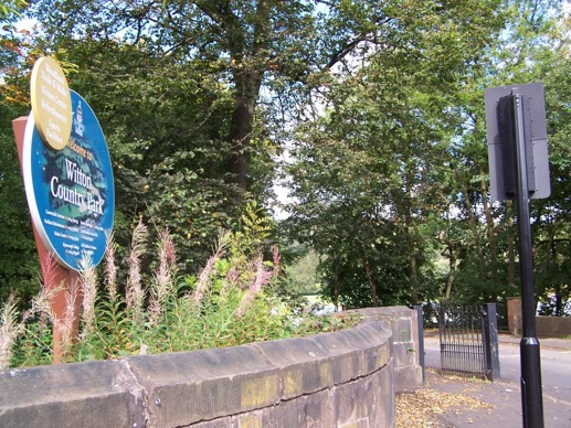 Witton Park Wood - Woodland Trust
