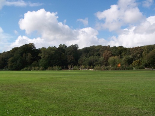 Witton Park Wood - Woodland Trust