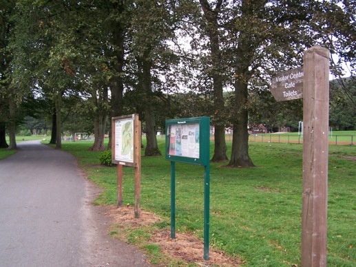 Witton Park Wood - Woodland Trust