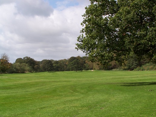Witton Park Wood - Woodland Trust