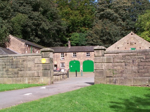 Witton Park Wood - Woodland Trust