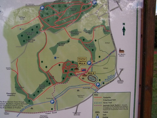 Witton Park Wood - Woodland Trust