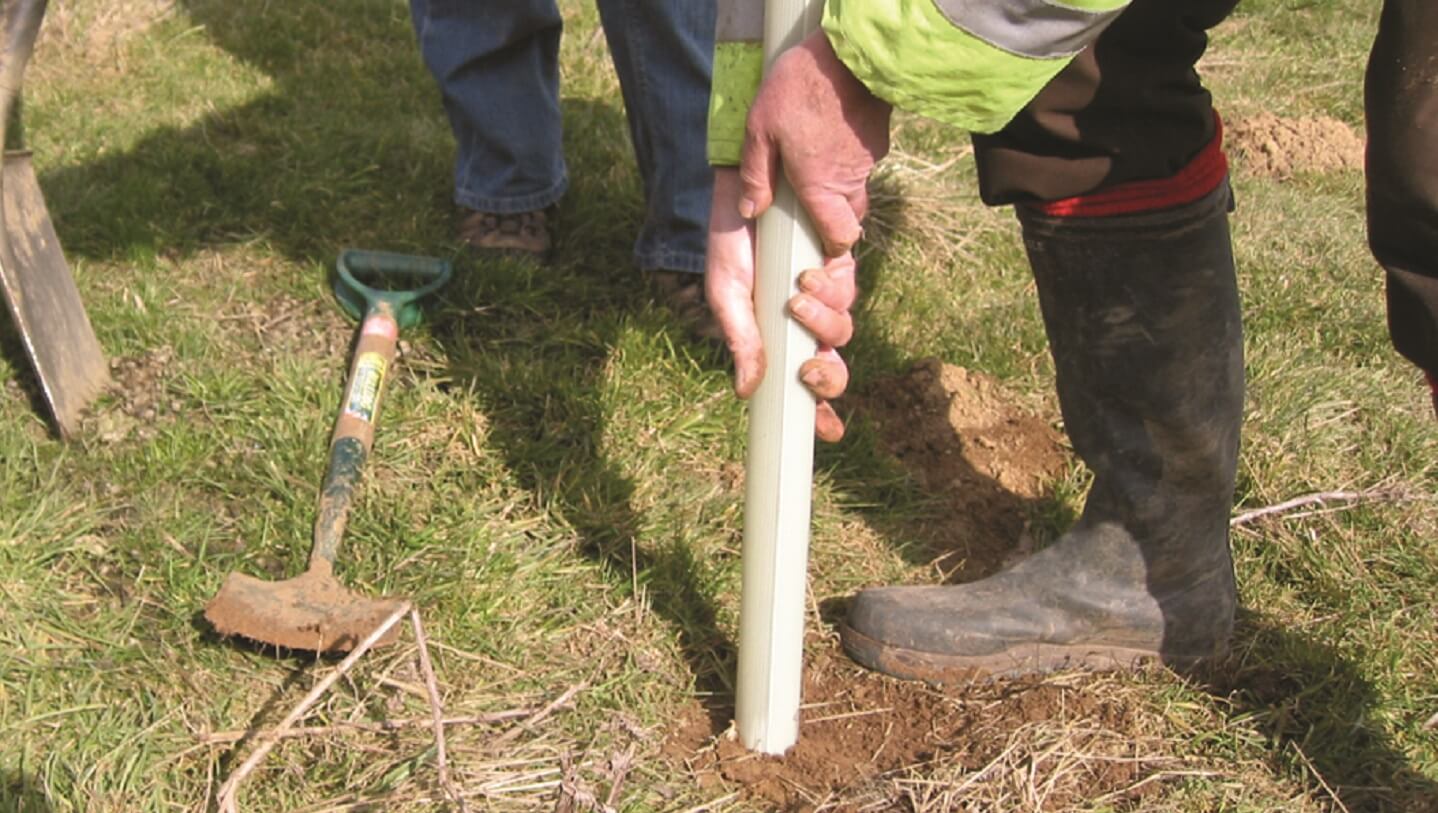 Guide to Sapling Planting « Friends of Spring Park Wood