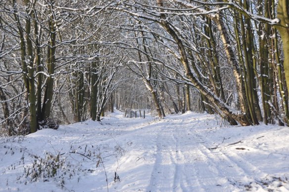 Outwood Trail and Park - Woodland Trust